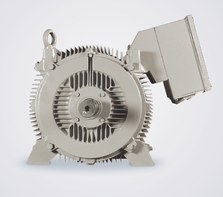 1LA8 SIMOTICS N-compact Motor - TTC Industrial Equipment Co.,Ltd